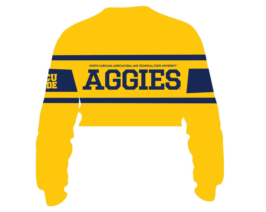 NC A&T SU | AGGIES STRIPE GOLD Chenille(**) – collegiateluxe