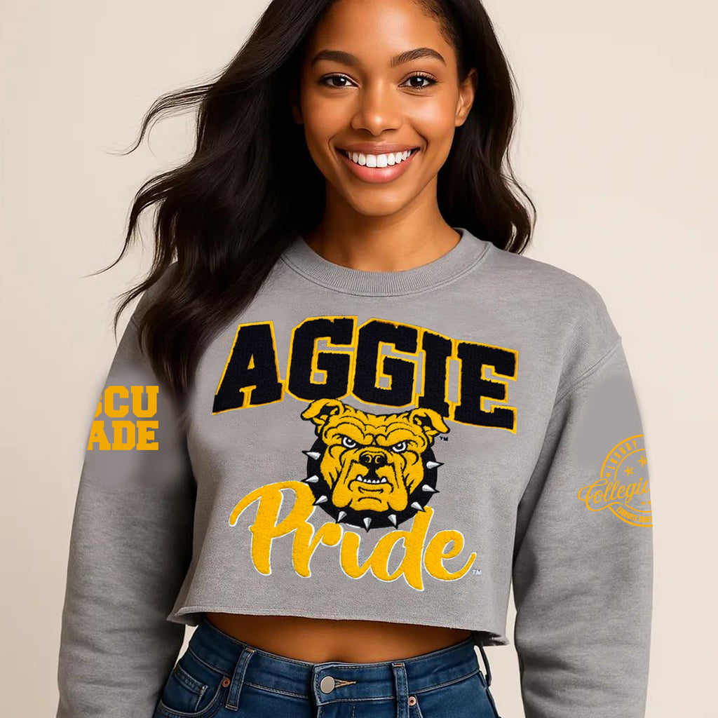 NC A&T SU | AGGIES PRIDE Chenille Gray Crop (a** – collegiateluxe